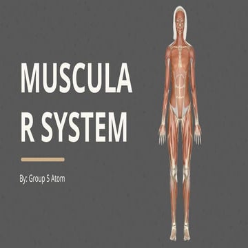 muscular system-earth and life science.pptx