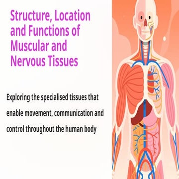 STRUCTURAL COLLAPSE AWARENESS FEMA COMPLIANT | PPTX