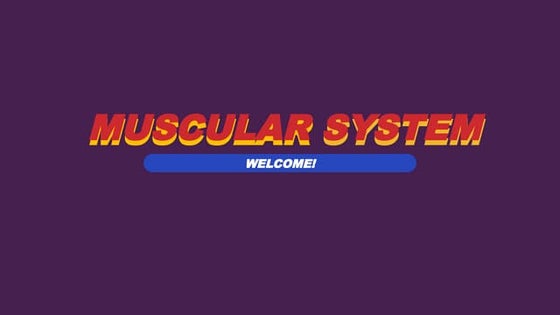 The muscular system powerpoint | PPT