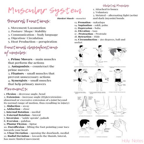 Quick Overview of the Muscle System | PPTX