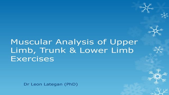 Spatele plan pdf | PDF