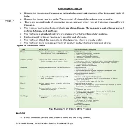 Muscular & connective tissue | DOCX
