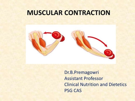 Skeletal muscle fibers.pptx
