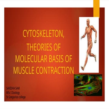 muscular contraction and cytoskeleton pptx | PPTX