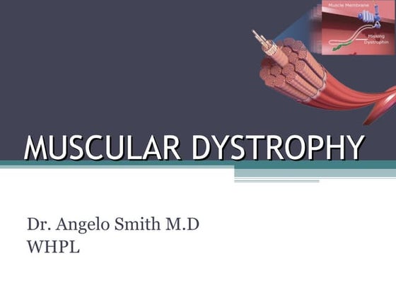 Muscular dystrophy | PPTX | Physical Therapy | Wellness