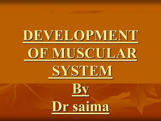 DEVELOPMENT OF MUSCLE EMBRYOLOGY OF MUSLCE | PPT