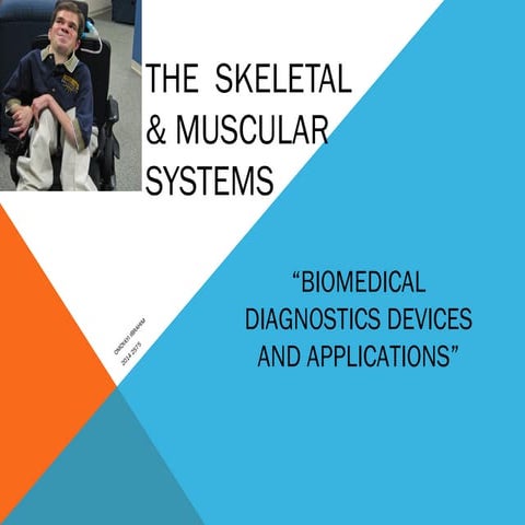 The Skeletal & Muscular Systems ; | PPT