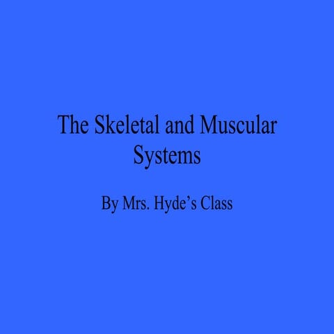 Muscular Skeletal System | PPT