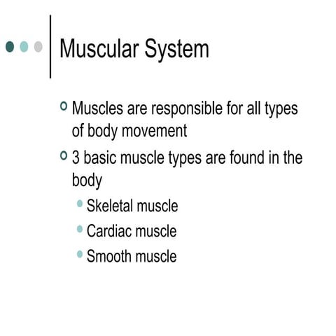 Muscular system | PPT