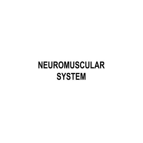 Neuromuscular System | PPTX
