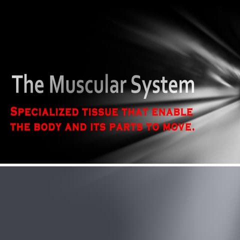 Muscular system: M- mobility, U- unity, S- strength, C- coordination, L ...