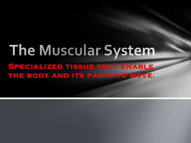 Presentation on Muscle very easy and short.pptx