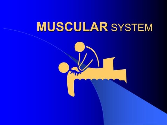 muscle structure_and_function | PPT