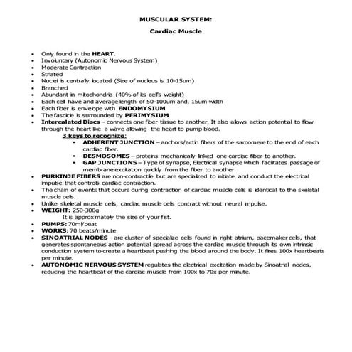 Muscular System: The Cardiac Muscle (Heart) | DOCX