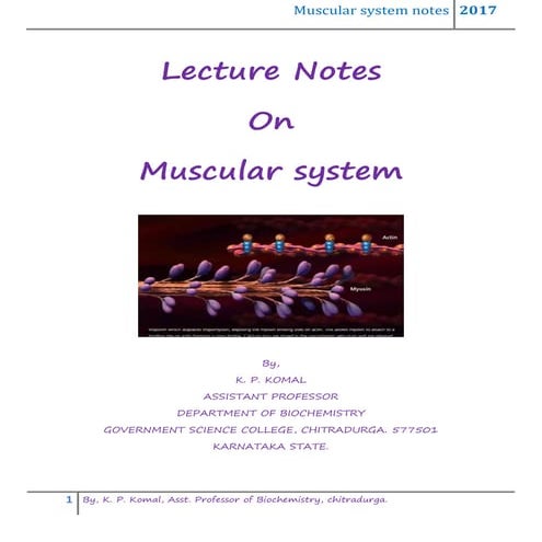 Muscular system | PDF