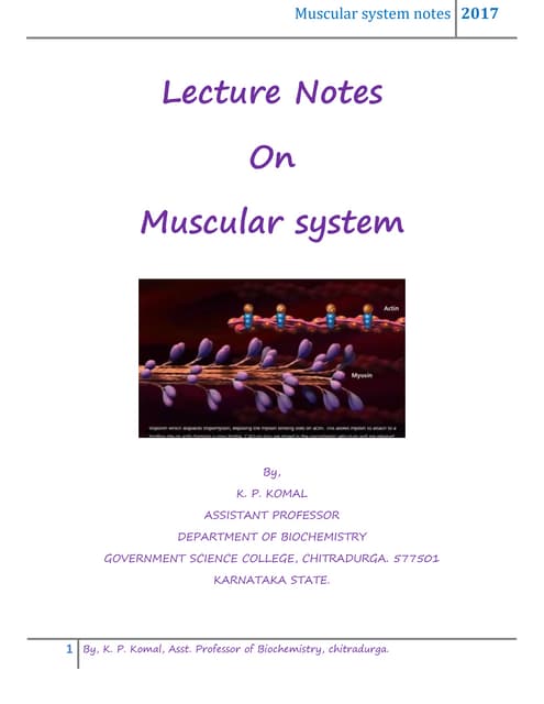 Insect Muscular System | PPTX | Biological Sciences | Science