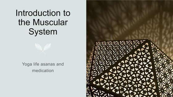 Muscular_System_Summary_Presentation.pptx