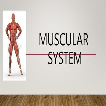 Muscular system_cttro | PPTX | Heart and Cardiovascular Diseases ...