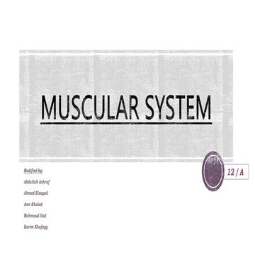 Muscular System.pptx