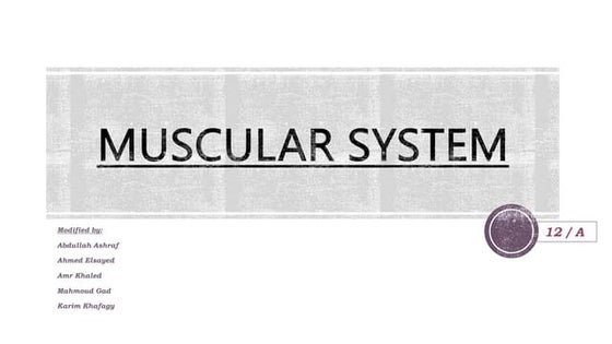 175-Anatomy-Muscular-system.ppt