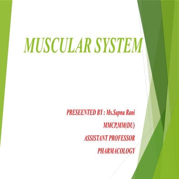 MUSCULAR SYSTEM.pptx, Human anatomy & physiology | PPT