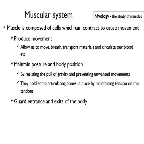 MUSCULAR SYSTEM and its classification.pptx