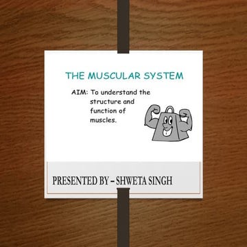 Muscular System powerpoint presentation for grade 4 students and ...
