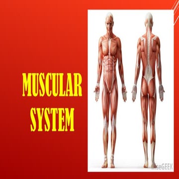 Ch07 lecture ppt_a | PPTX