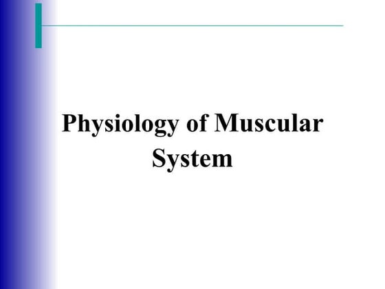 muscles. explanation for kids. primary /elementary students | PPT