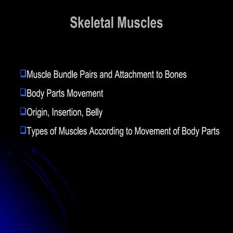 Muscle Names Location and Function Powerpoint.pptx