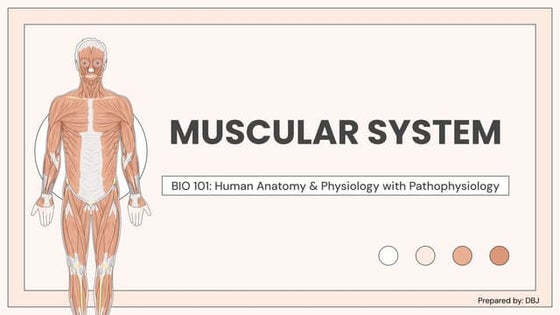 muscles. explanation for kids. primary /elementary students | PPT