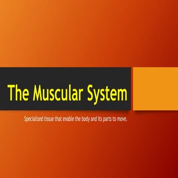 Anatomy and Physiology of Muscular System.ppt