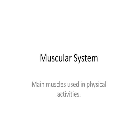Muscular system lesson 1 | PPTX
