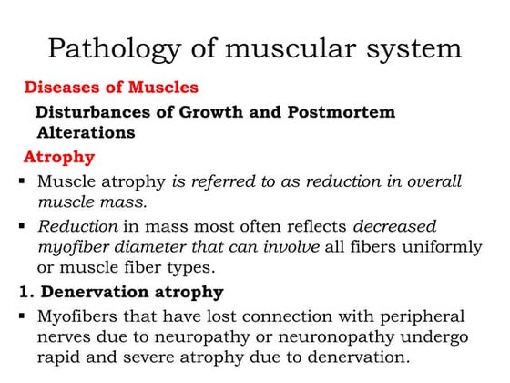 pathologic changes of muscle in injury.ppt