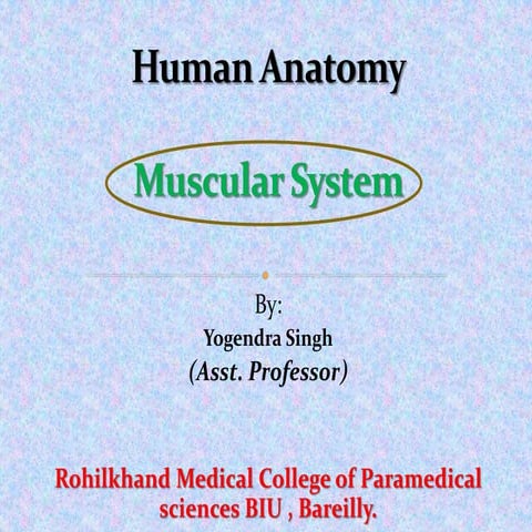 Muscular system ppt | PPTX