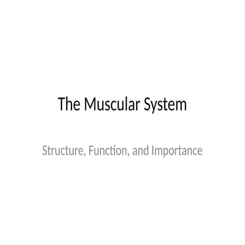Muscular_System_Presentationnnnnnnn.pptx