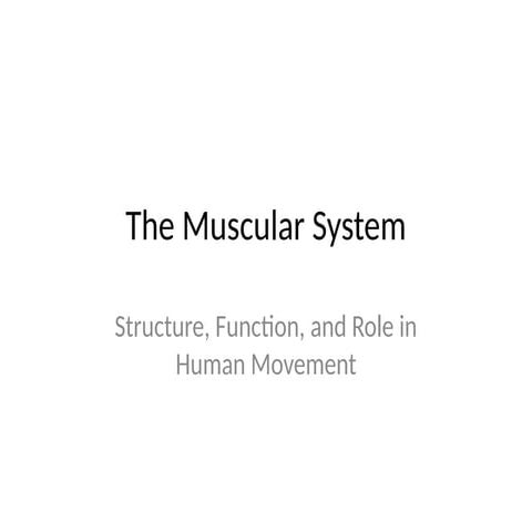 Muscular_System_University_Level.pptxLeb | PPTX