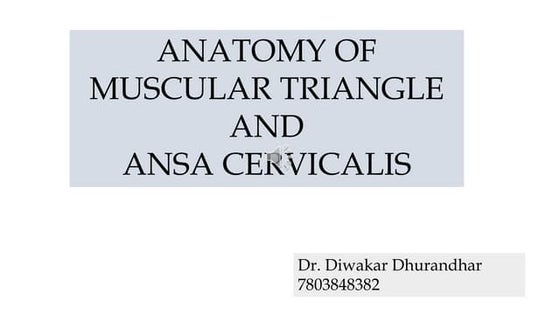 Carotid Triangle (Anatomy of the Neck) | PPT
