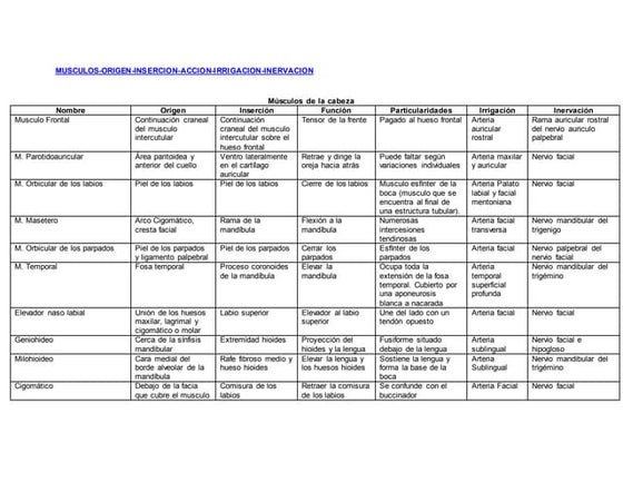 Tabla de musculos.pdf