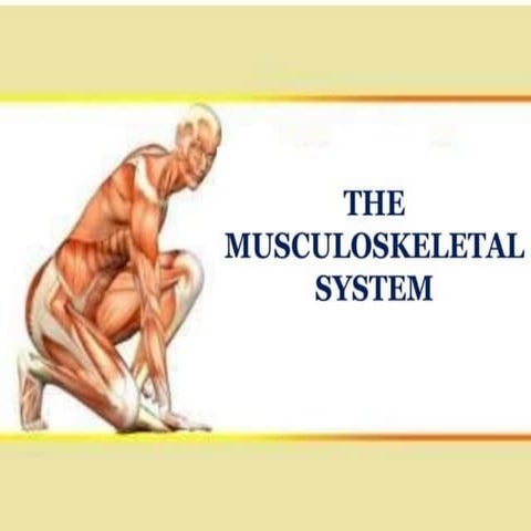 Musculosceletal System in our body .pptx