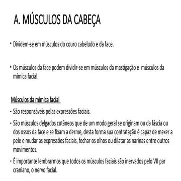 Músculos do pescoço e da cabeça | DOCX