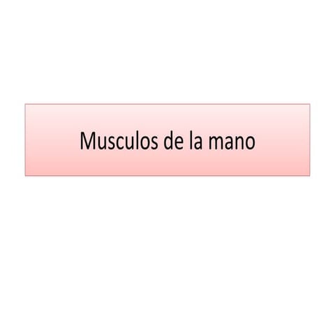 Músculos de la mano | PDF