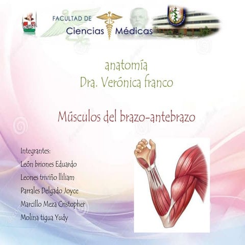MUSCULOS DEL MUSLO.pptx