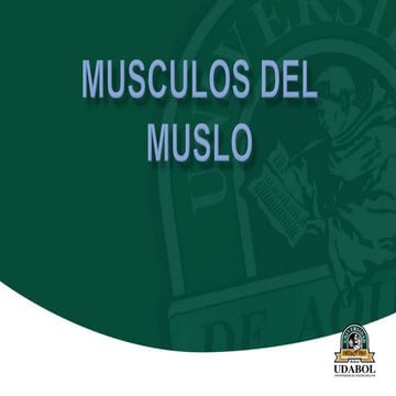 MUSCULOS DEL MUSLO.pptx