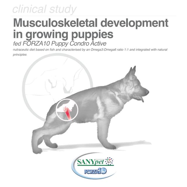 Musculoskeletal development in growing puppies | PDF