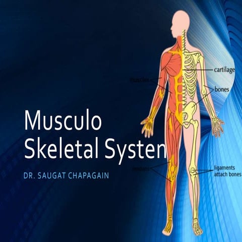 Musculo Skeletal System Ppt
