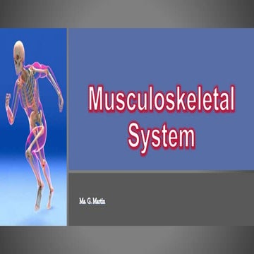 Musculoskeletal system | PPTX