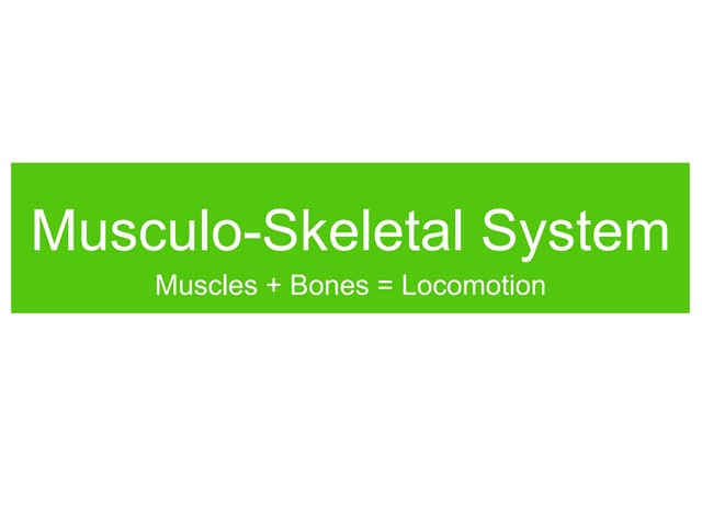 The skeletal and muscular system | PPT
