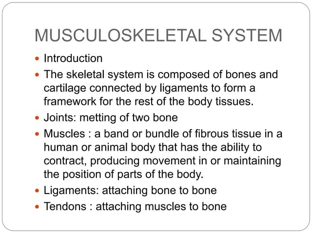 Anatomy of musculoskeletal system | PPTX