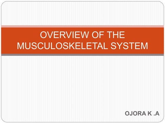 GULAM RASOOL SALMANI (79) ANATOMICAL SNUFF BOX.pdf